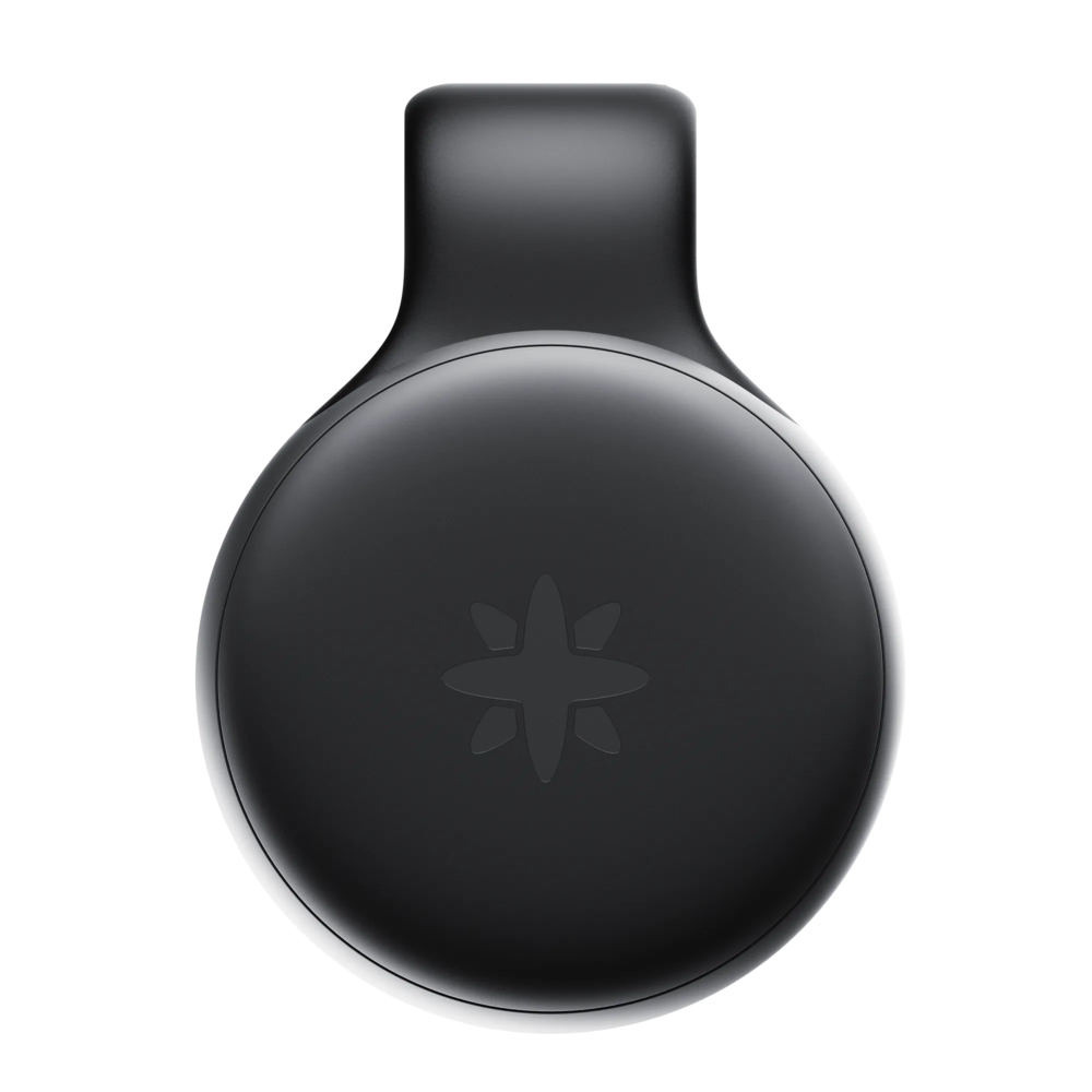 Save 60 On Limitless Ai Pendant Us To Japan Shipping Comgateway